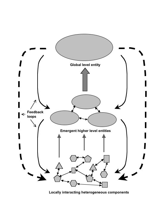 Ecological Complexity | Complex Environmental Systems Lab Ecological Complexity | Complex Environmental Systems Lab