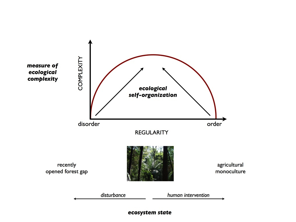 Measuring complexity | Complex Environmental Systems Lab Measuring complexity | Complex Environmental Systems Lab