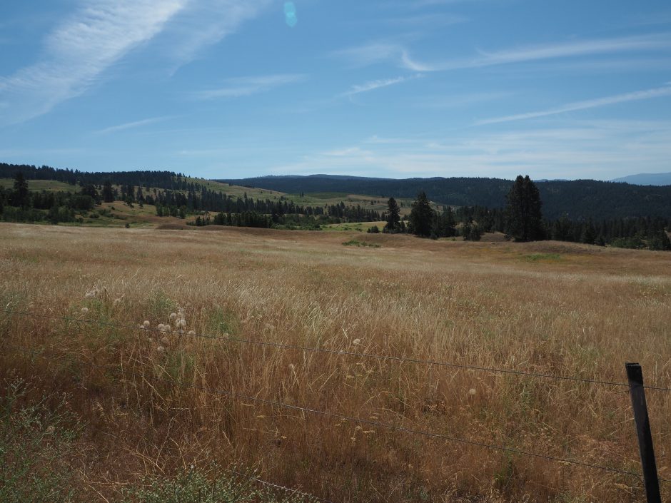 The Okanagan Mountain to Kalamalka Lake Ecological Corridor | Complex ... The Okanagan Mountain to Kalamalka Lake Ecological Corridor | Complex ...